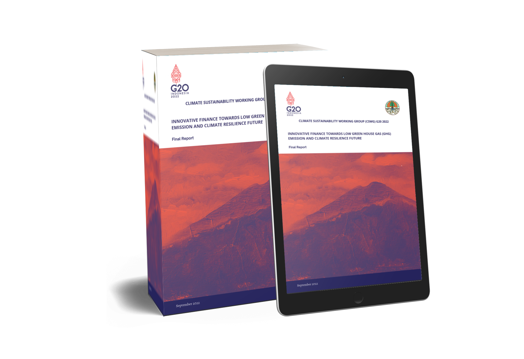 Report for G20 Climate and Sustainability working group: Innovative ...
